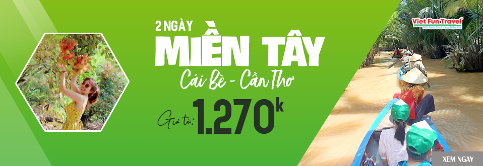 Viet Fun Travel - Công Ty Tổ Chức Du Lịch Chuyên Nghiệp